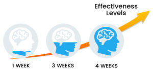 Provasil - The #1 Rated Best Memory Supplement